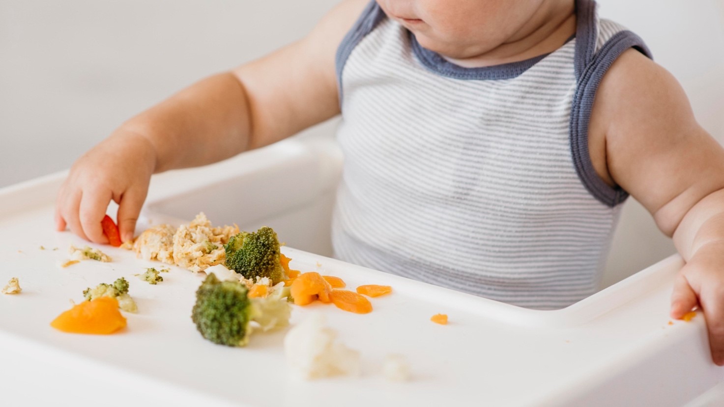 Food Safety Guide For Babies And Toddlers - Mummyfique